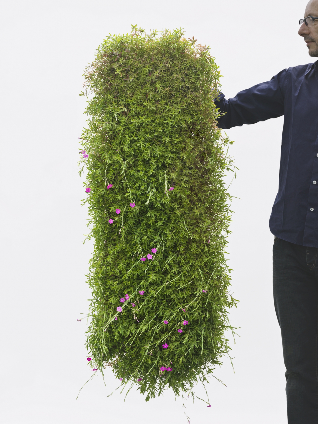 Projets - Studio Patrick Nadeau