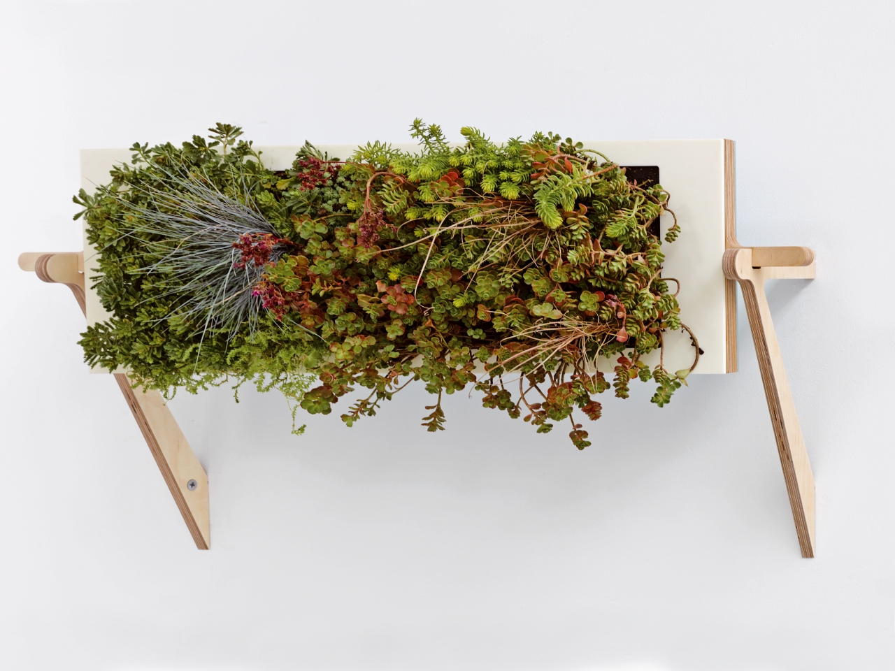 Projets - Studio Patrick Nadeau